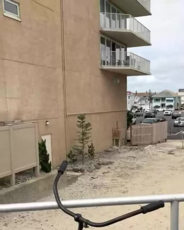 Giant Australian spider chased by curious tourists takes shelter on a building facade | Scrolller