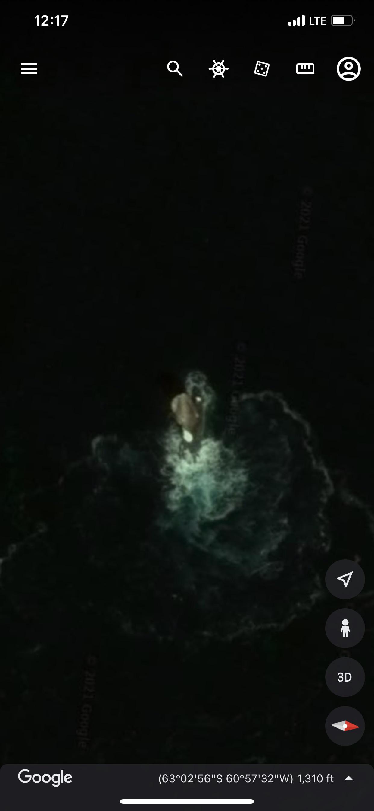 Giant squid in Antarctica | Scrolller