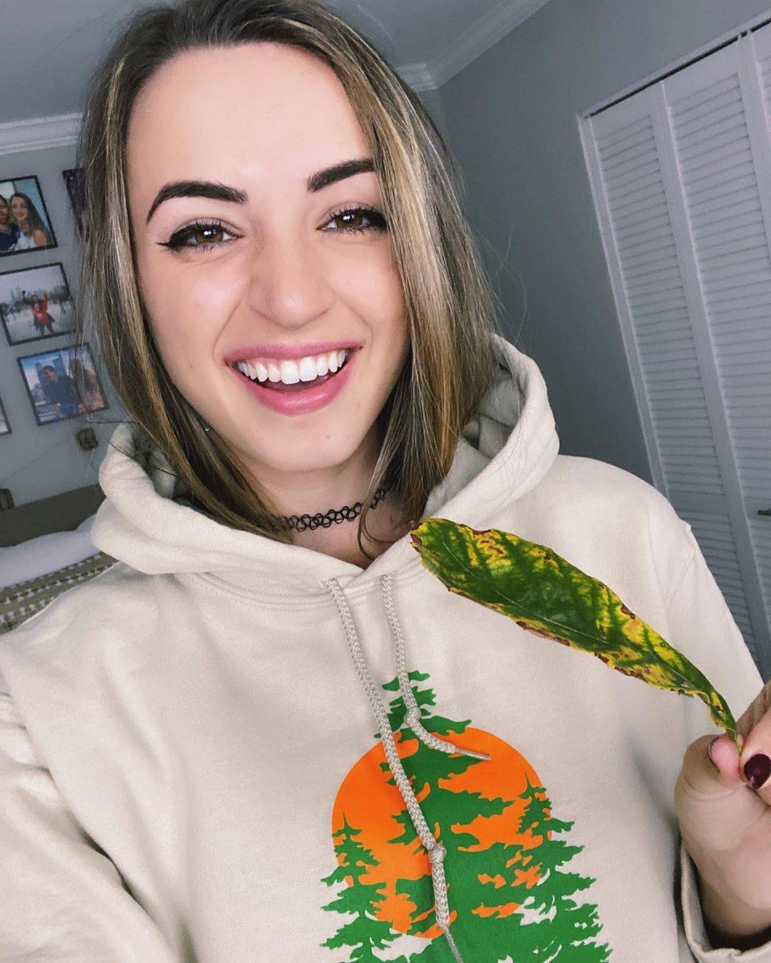 Gibi is Team Trees | Scrolller