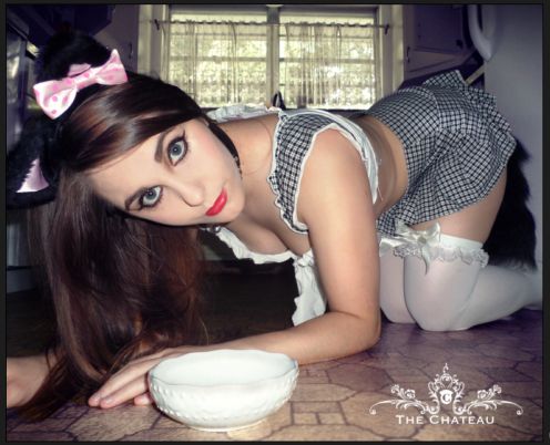 Gingham Kitten | Scrolller