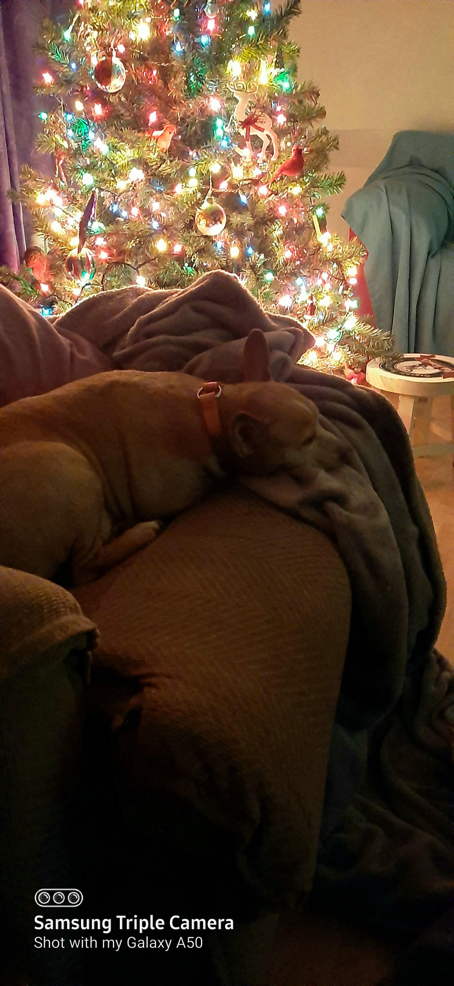 Girl, hanging out on the lazy boy! | Scrolller