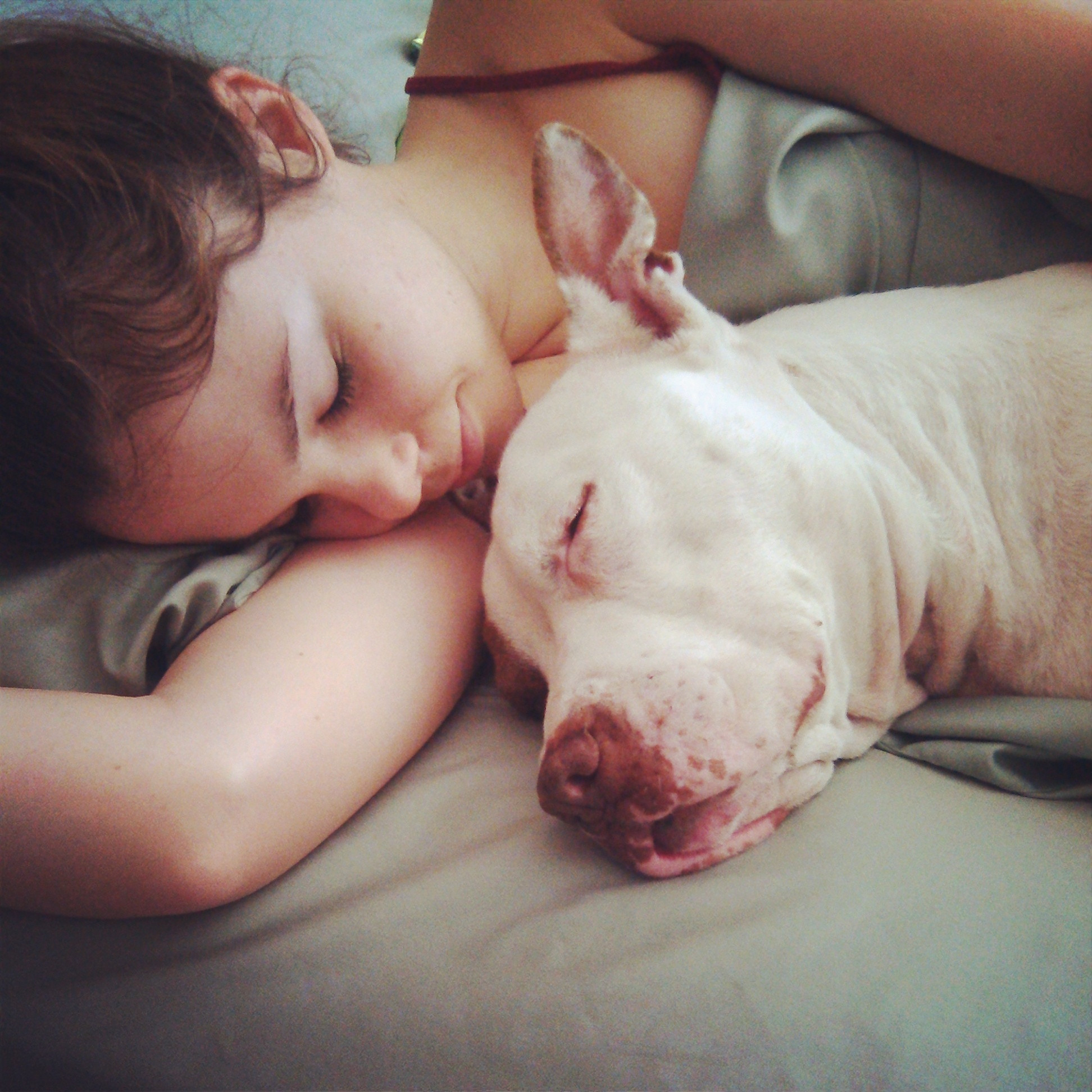Girl sleeping with pitbull | Scrolller