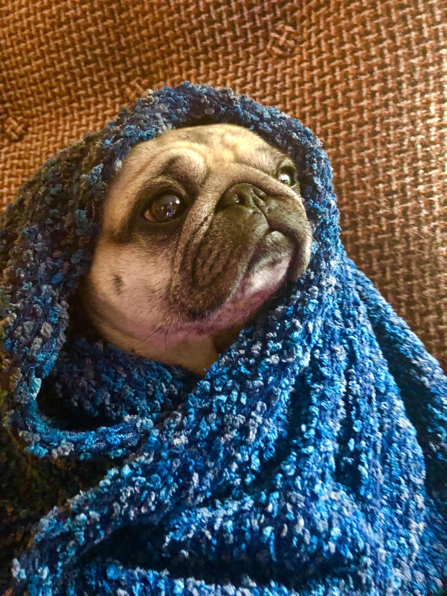 Glamour shots | Scrolller