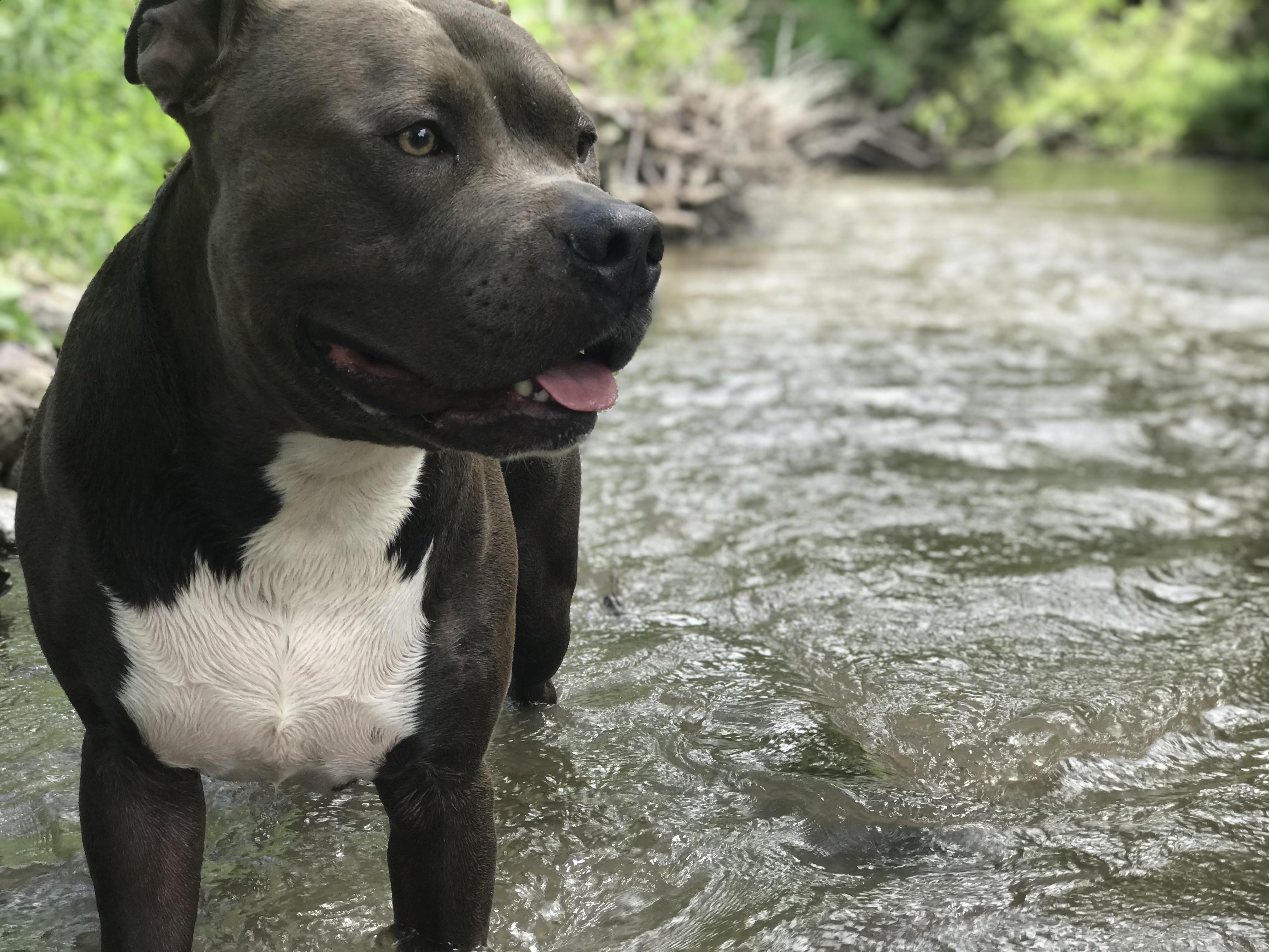 Glamour shots by the creek. | Scrolller