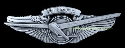 Glider Wing Pin | Scrolller