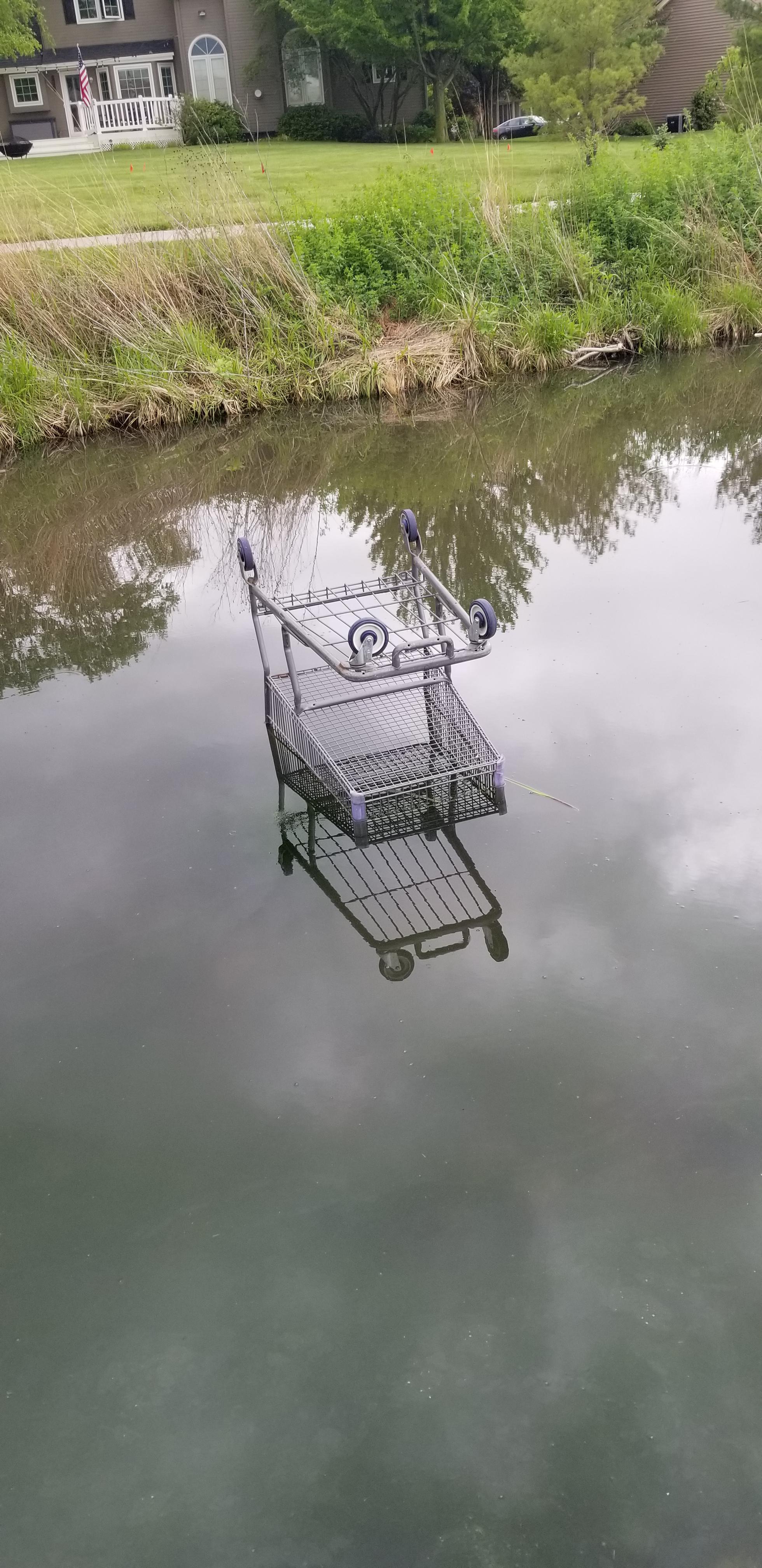 Glitched shopping cart | Scrolller