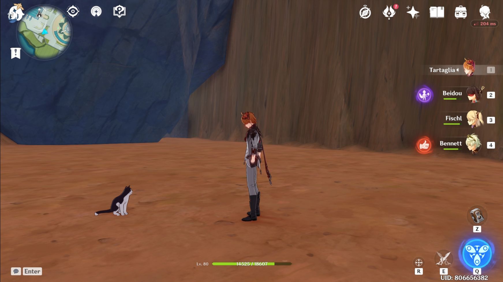 Glitched through the map, I guess curiosity hadn't killed this cat yet | Scrolller