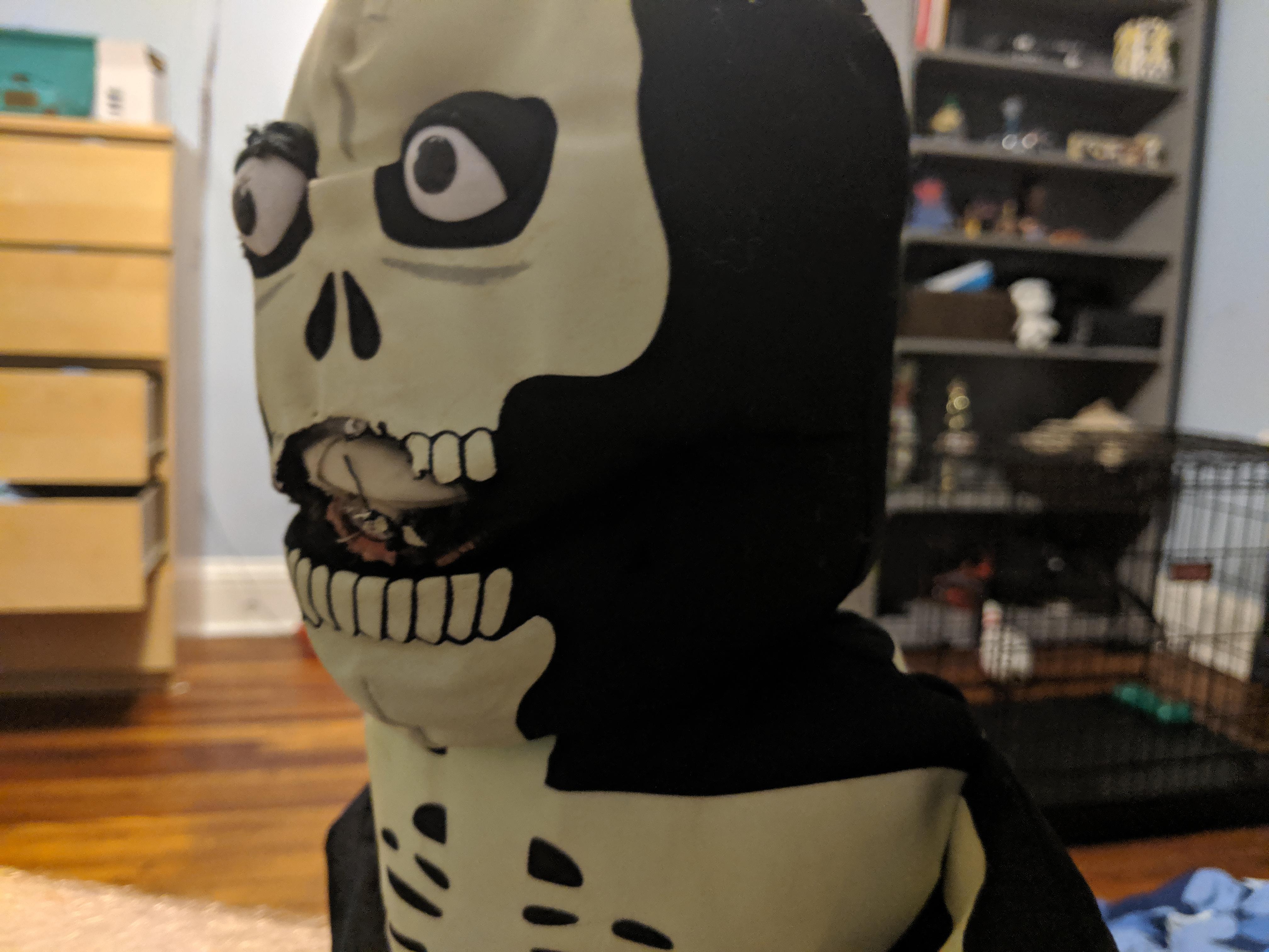 Glow in the dark skeleton | Scrolller