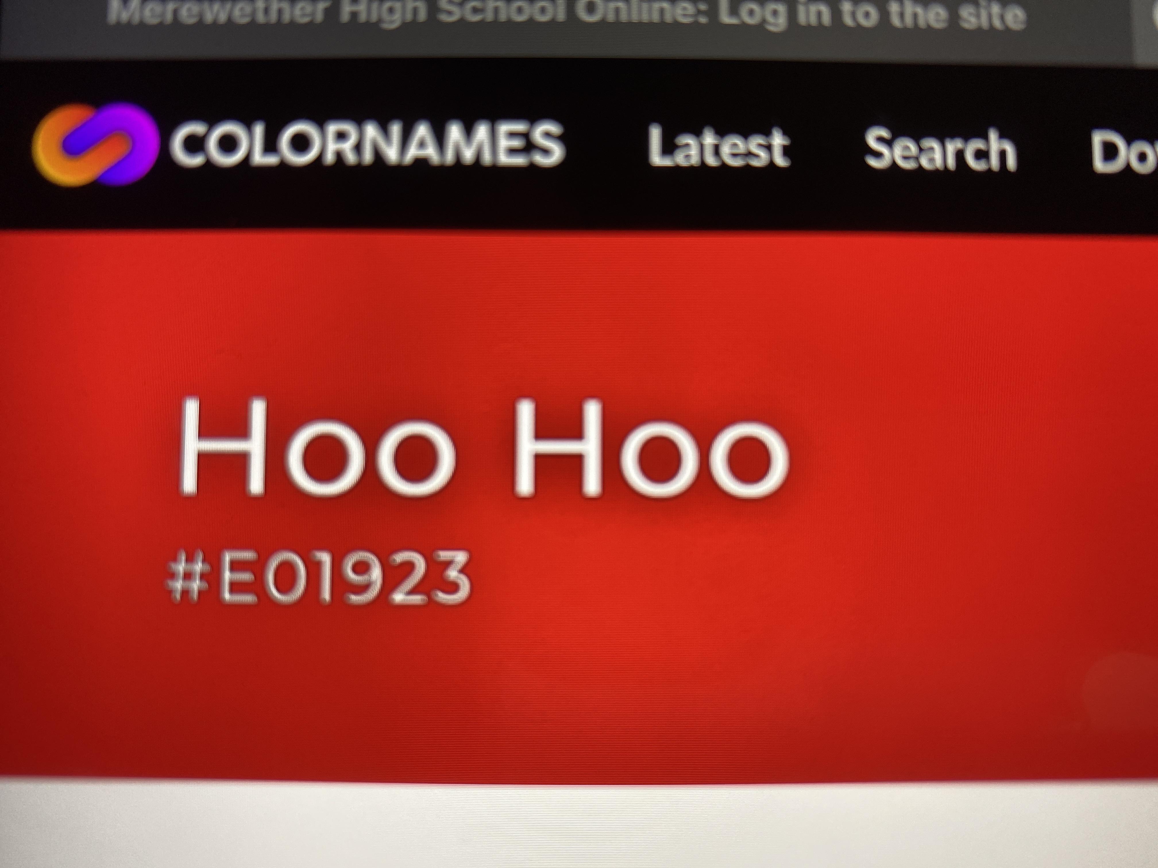 Go check out colour #E01923 now officially named Hoo Hoo | Scrolller