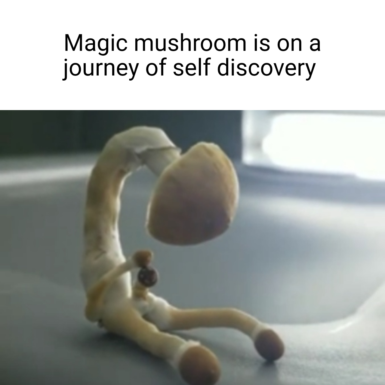 Godspeed to the little guy | Scrolller