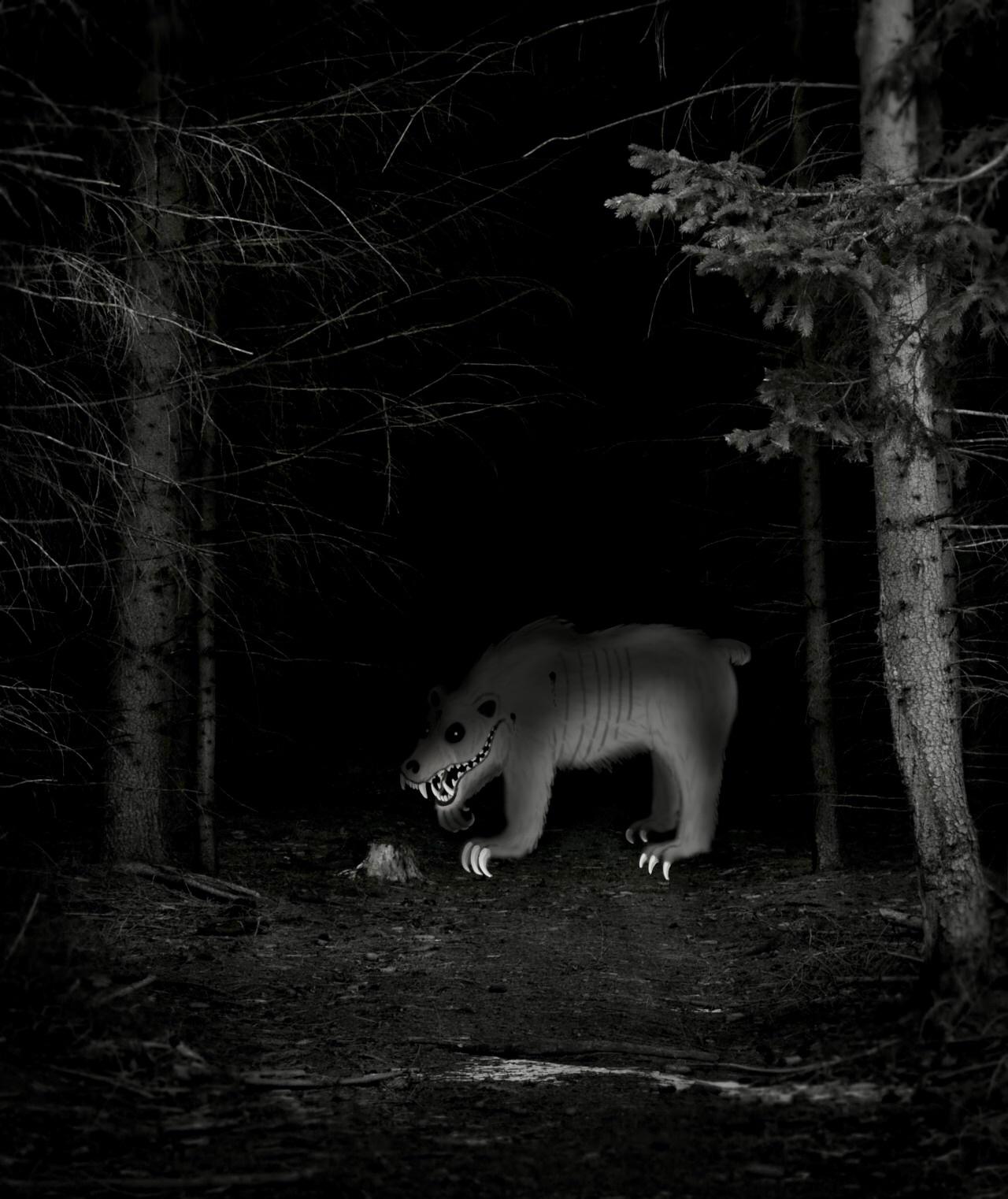 Going on a ghost hunt | Scrolller