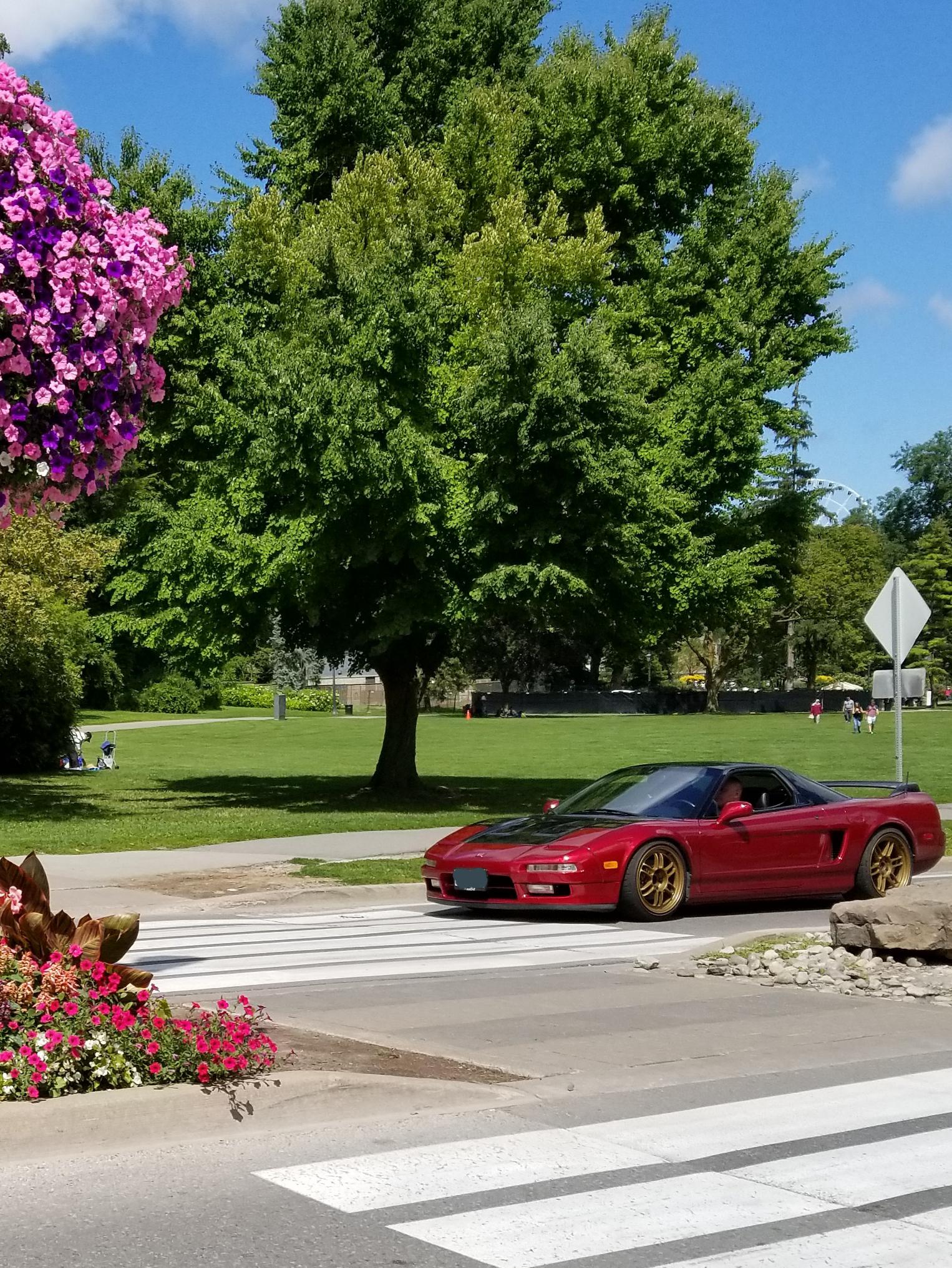 Gold wheels and everything | Scrolller