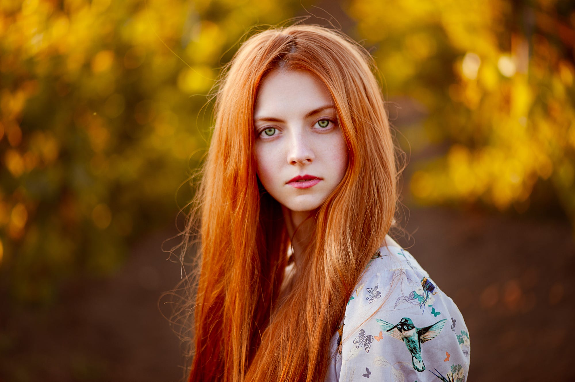 Golden Hour Scrolller