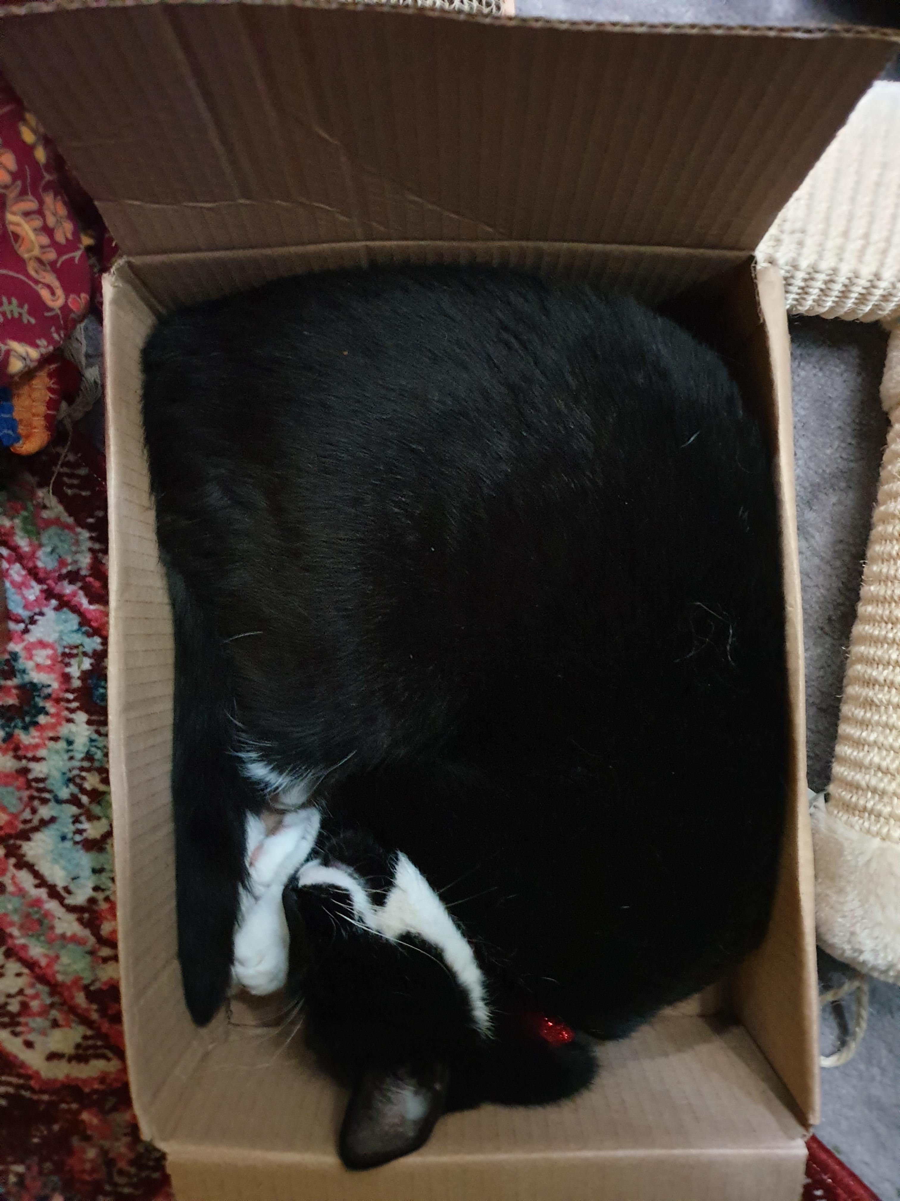 Gone all liquid. | Scrolller