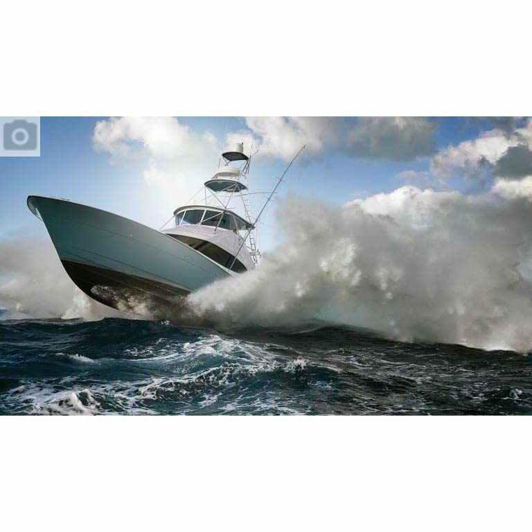 Gone fishing | Scrolller