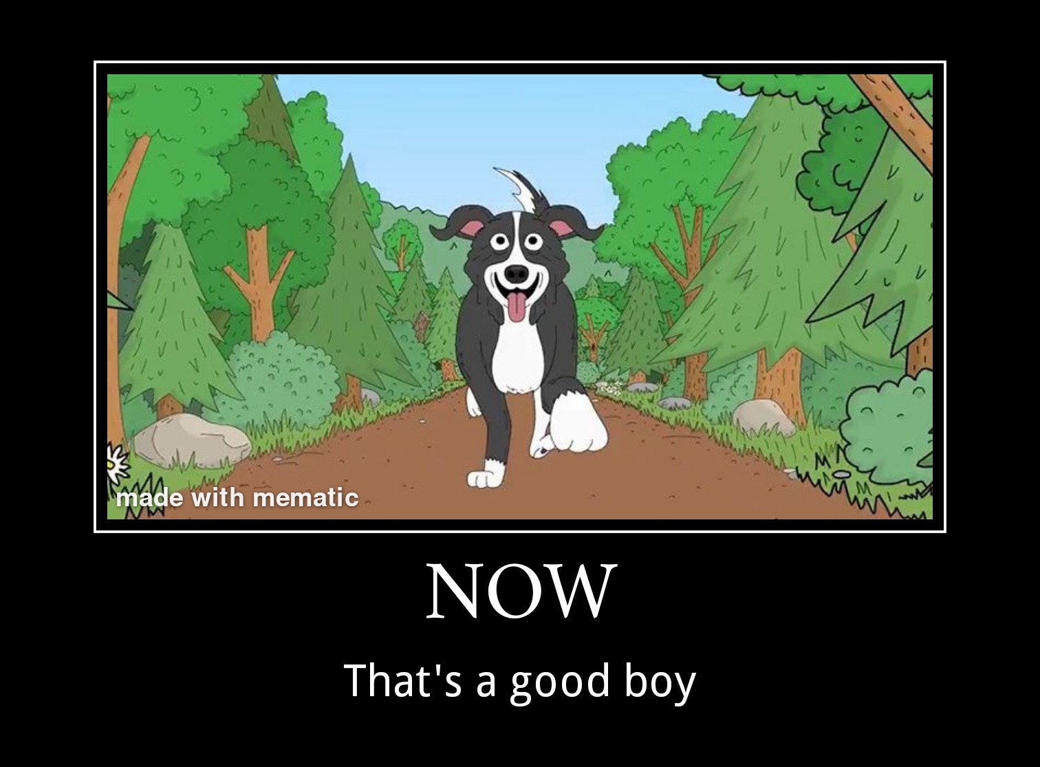 Good Boy Scrolller 7662