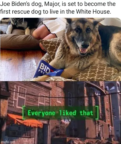 Good Boy Scrolller 8576