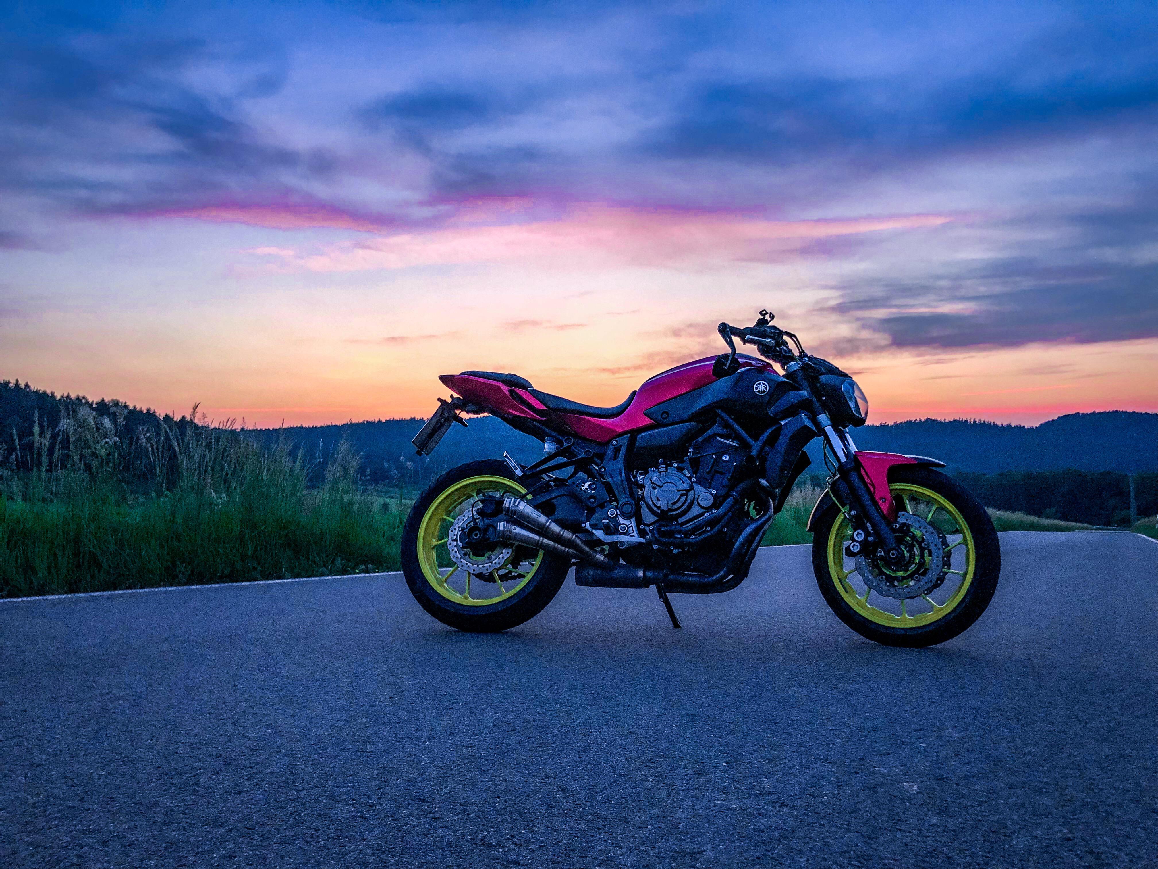 Good Evening | Scrolller