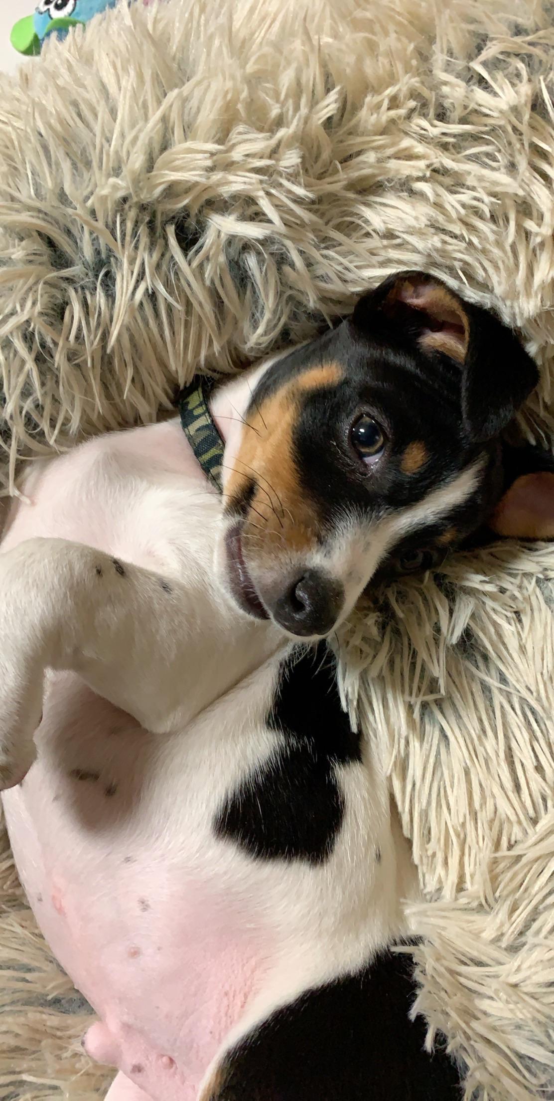 Good morning all! | Scrolller