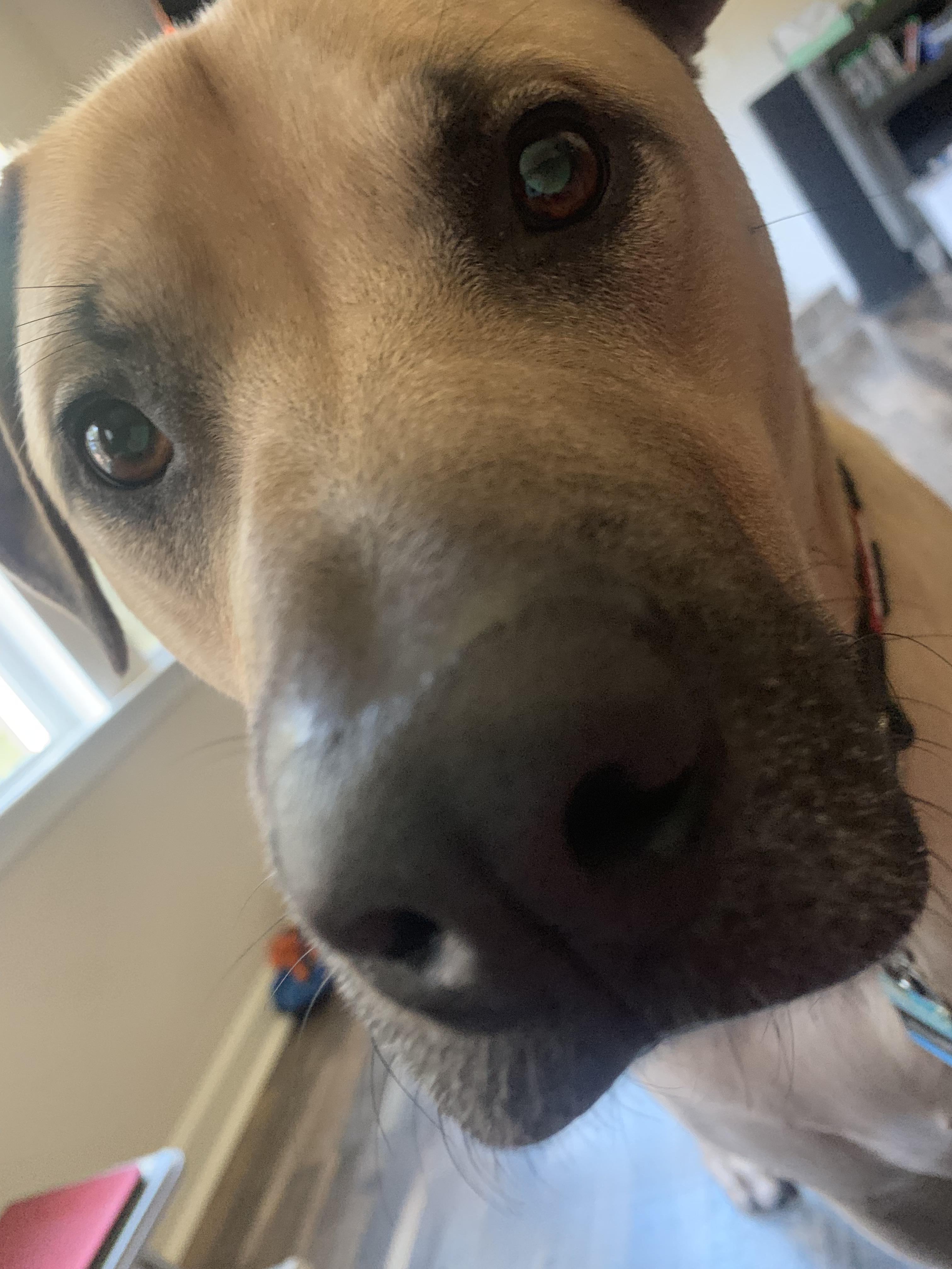 Good Morning Are You Awake Yet Scrolller