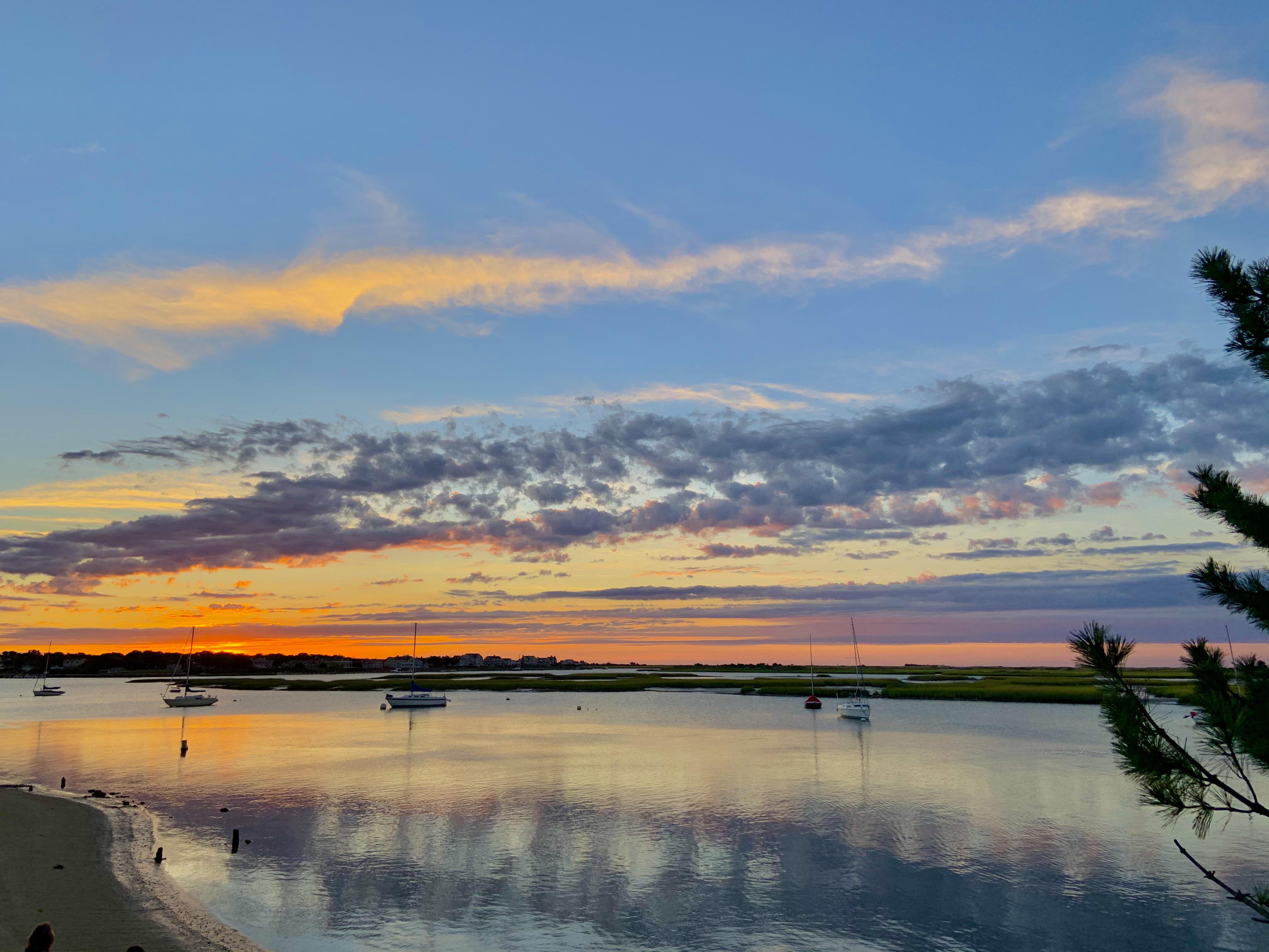 Good Morning from Cape Cod. | Scrolller