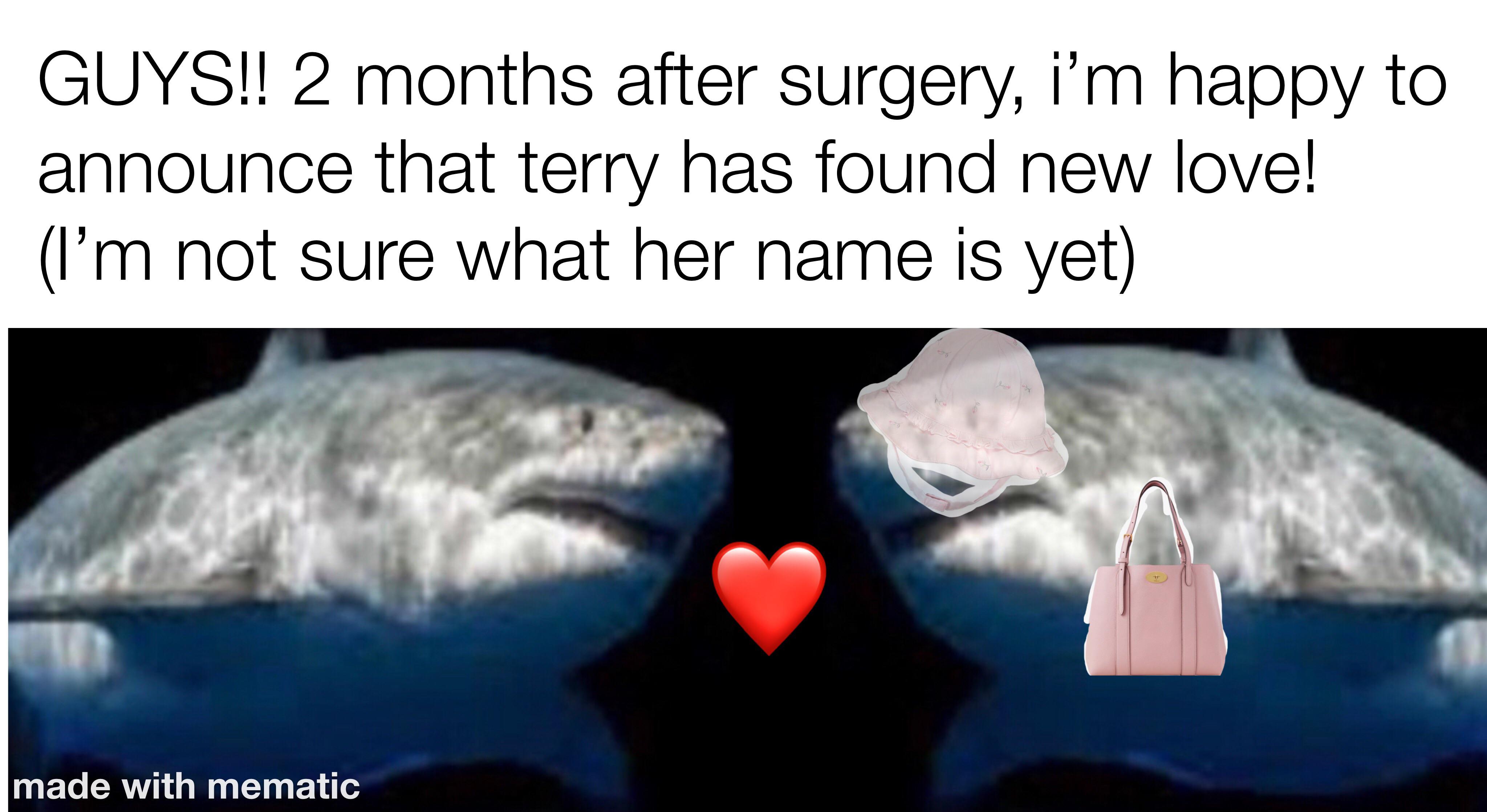 Good on terry | Scrolller