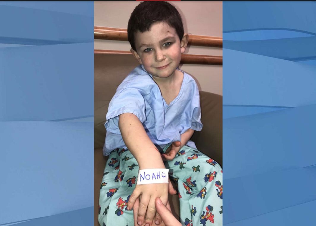 Good on you, Noah. | Scrolller