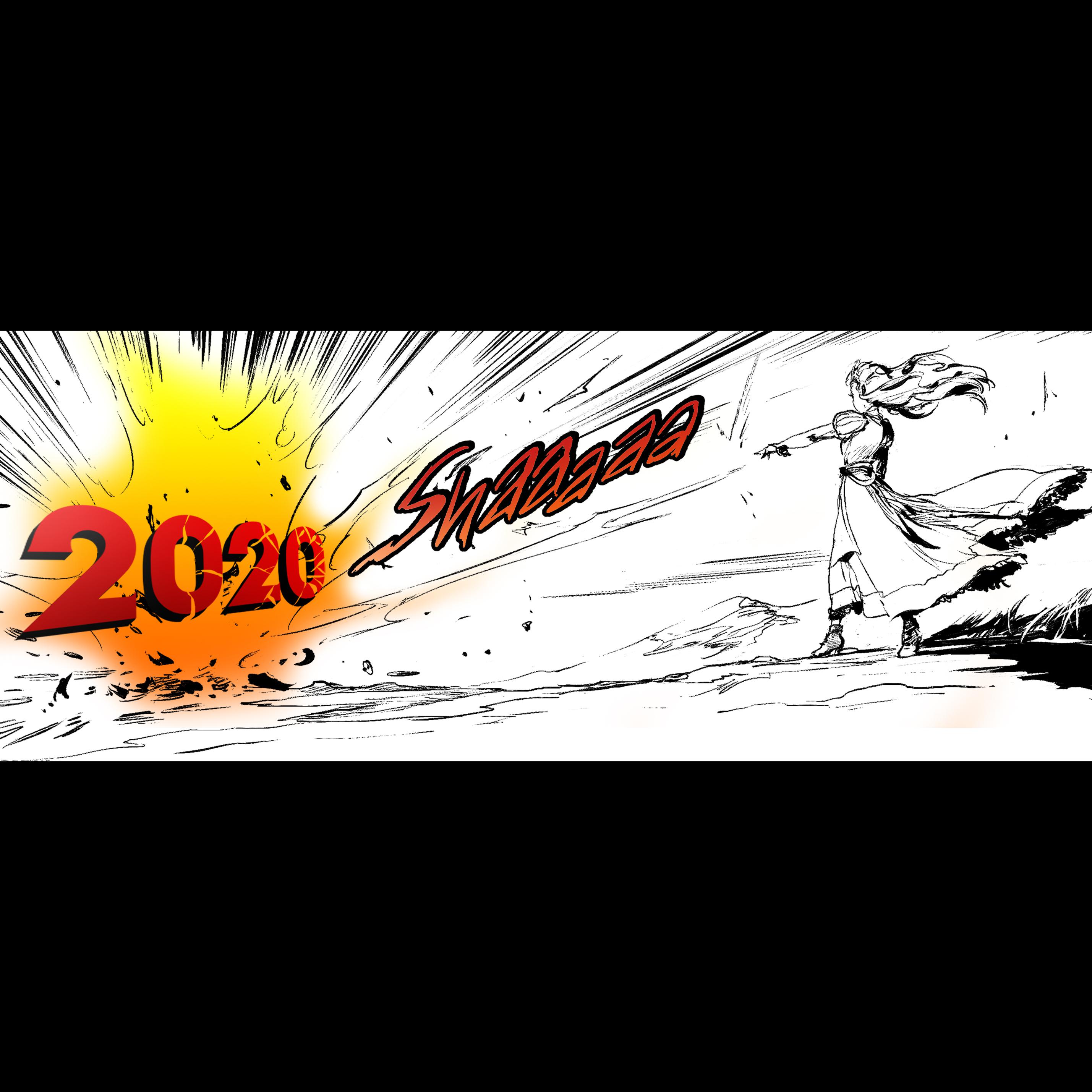 💥Good riddance 2020! | Scrolller