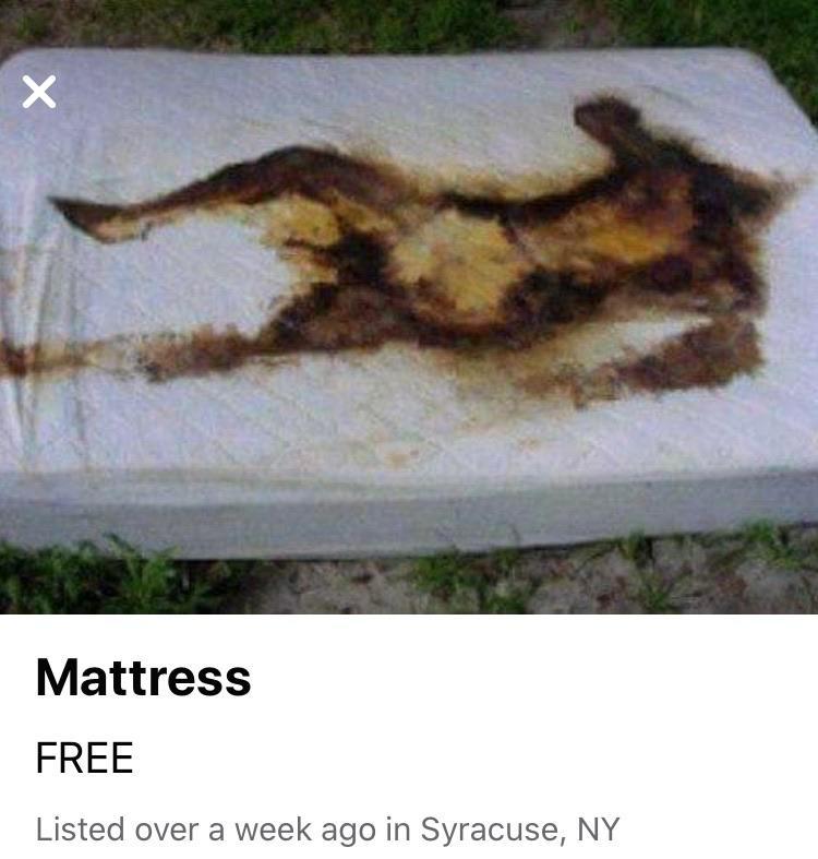 Good shape | Scrolller