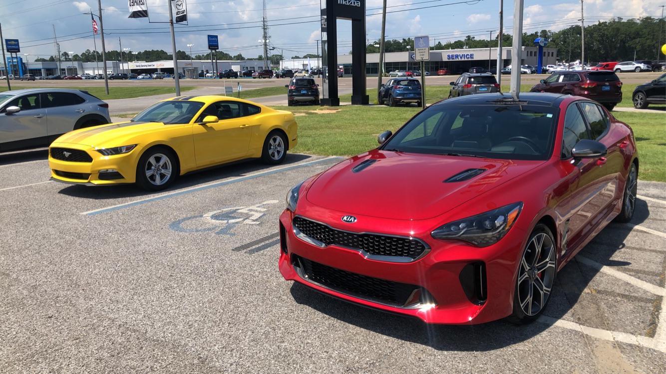 Goodbye Belle, and hello Stinger | Scrolller