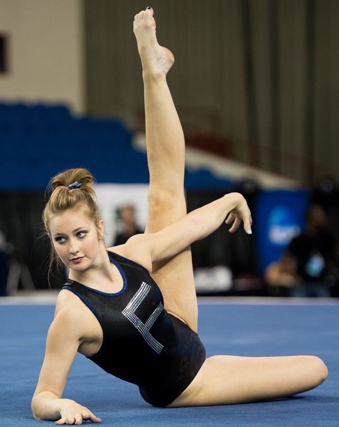 Gorgeous Gator | Scrolller