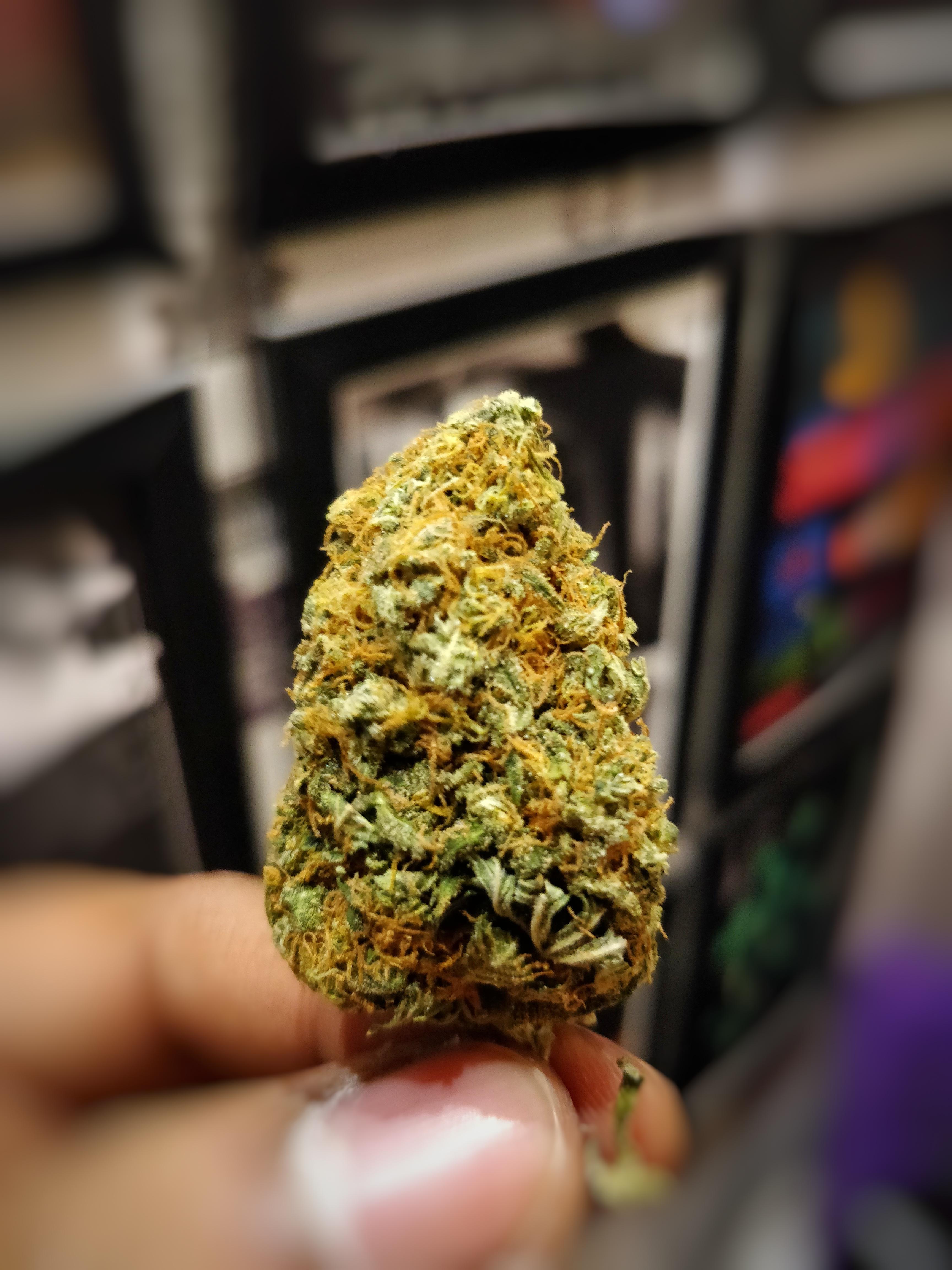 Gorilla Glue 🔥🦍 | Scrolller