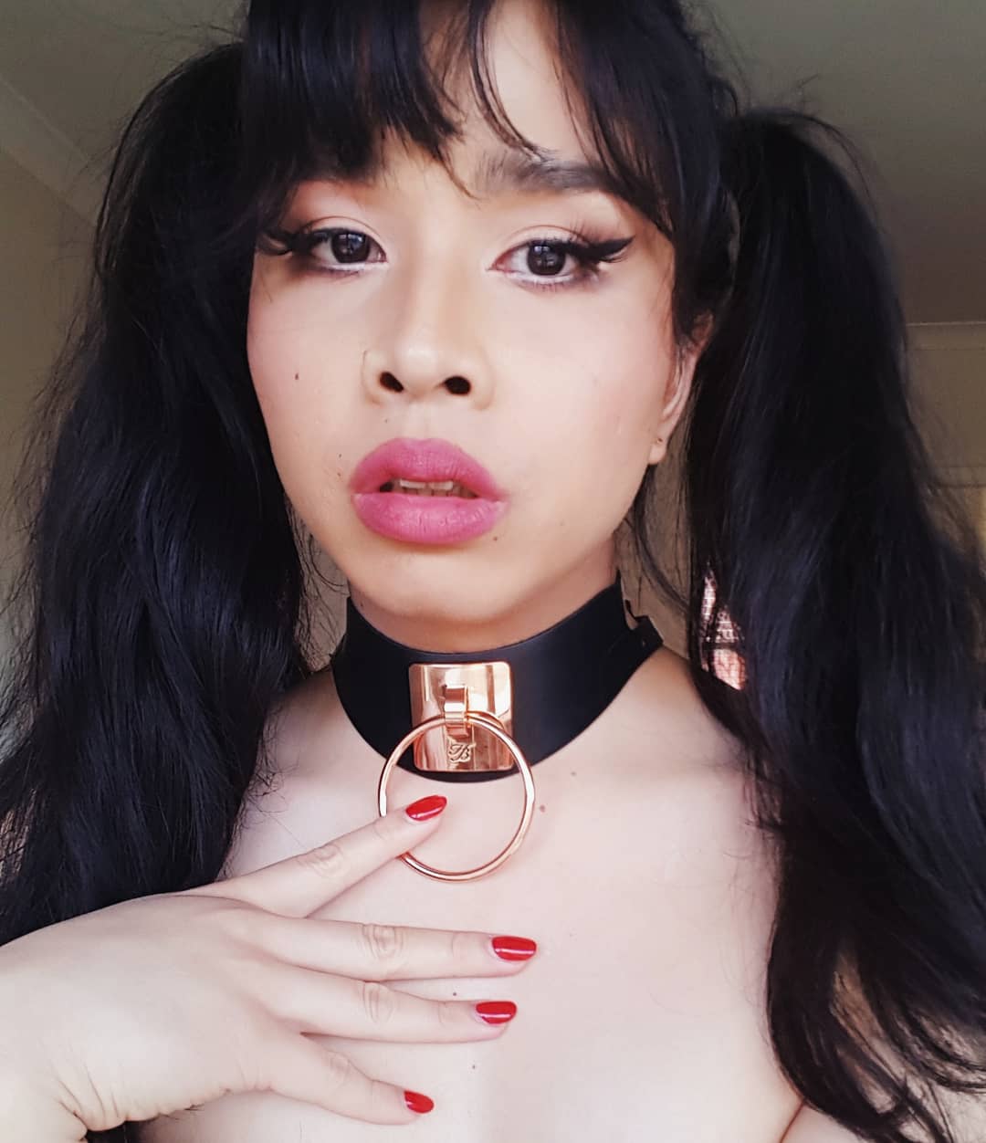 Got a new collar 💖 | Scrolller