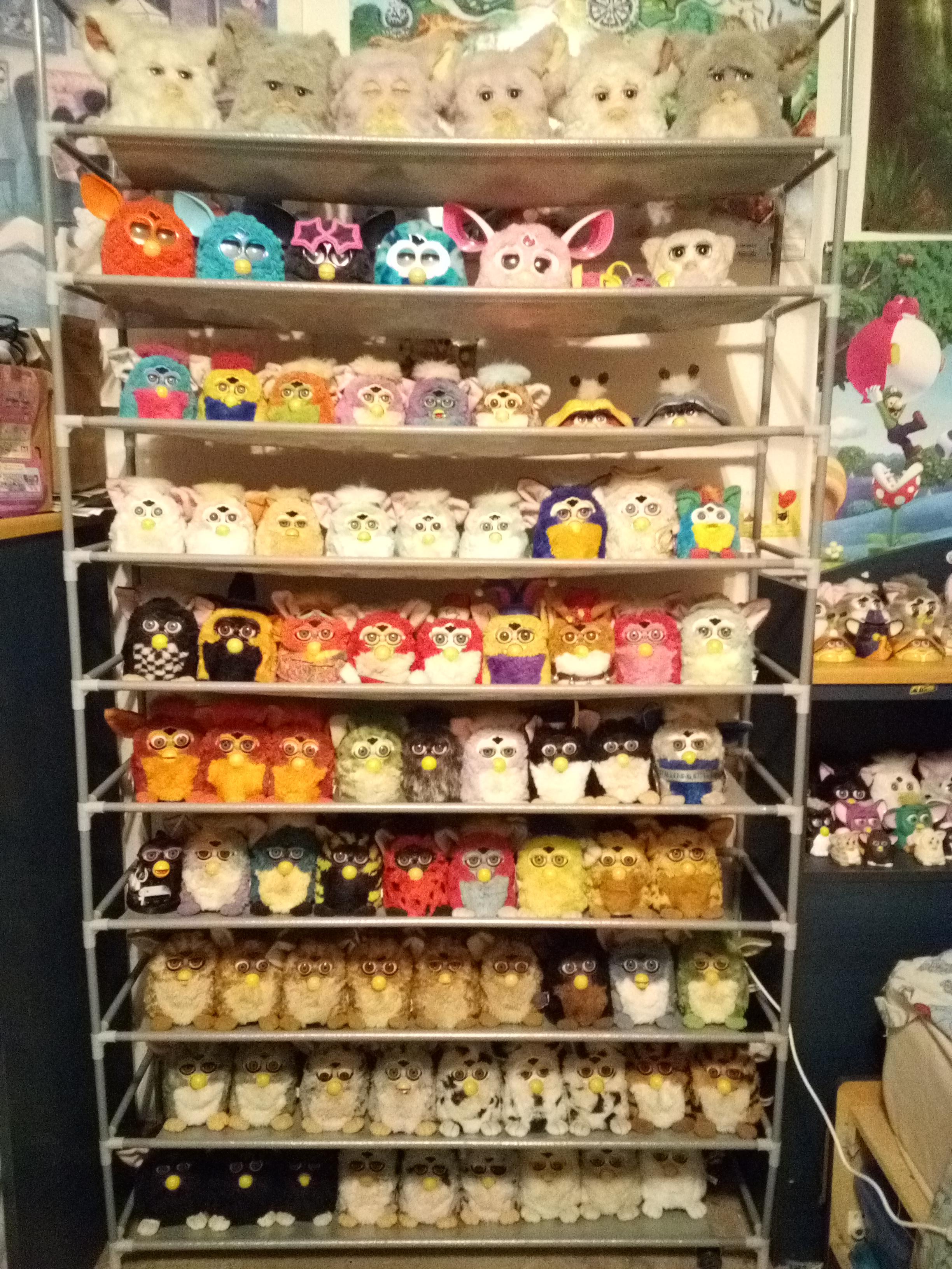 Got a new shelf! | Scrolller