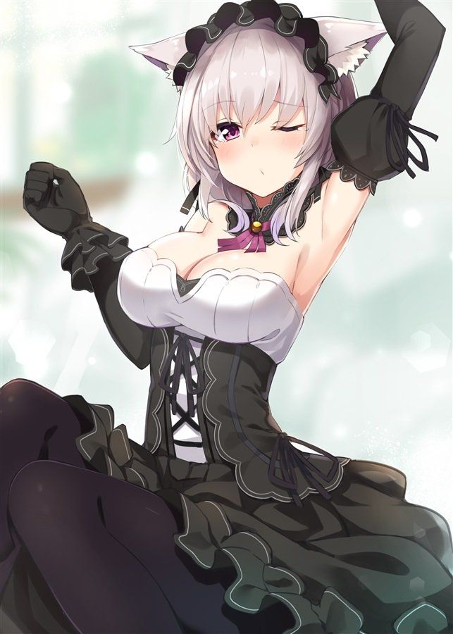 Gothic Lolita Neko [Original] | Scrolller