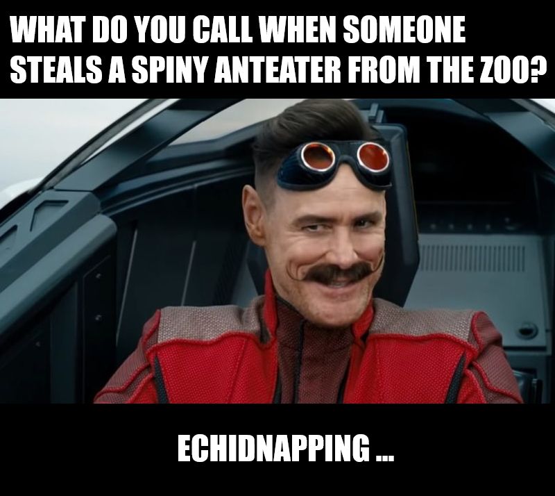 Gotta go fast | Scrolller