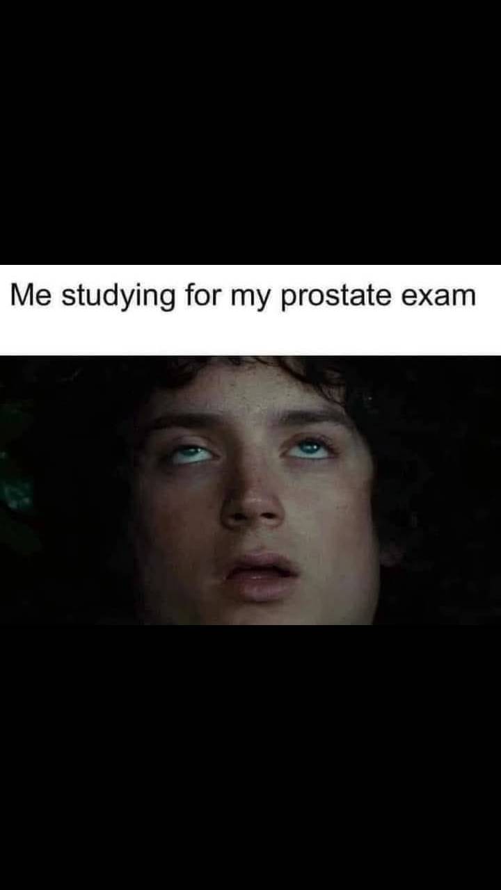 gotta study hard | Scrolller