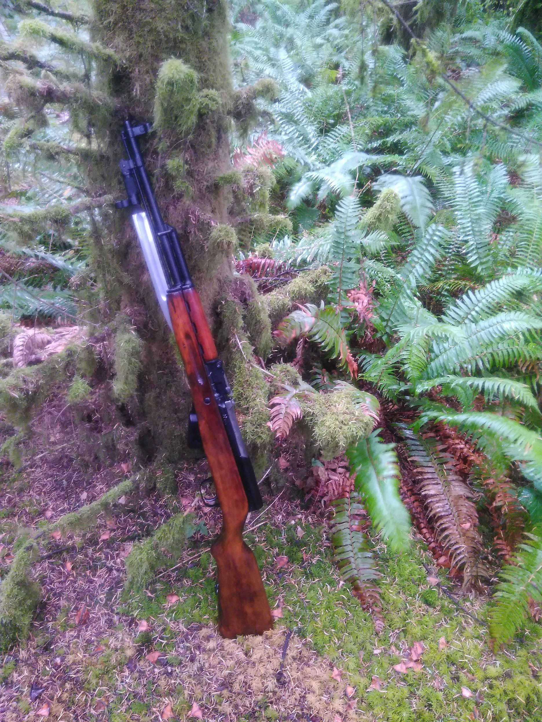 Grabbed SKS went inna woods, now what? | Scrolller