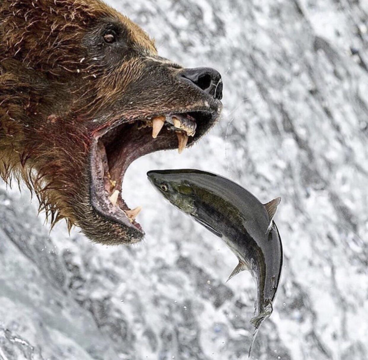 🔥 Grabbing Takeout | Scrolller