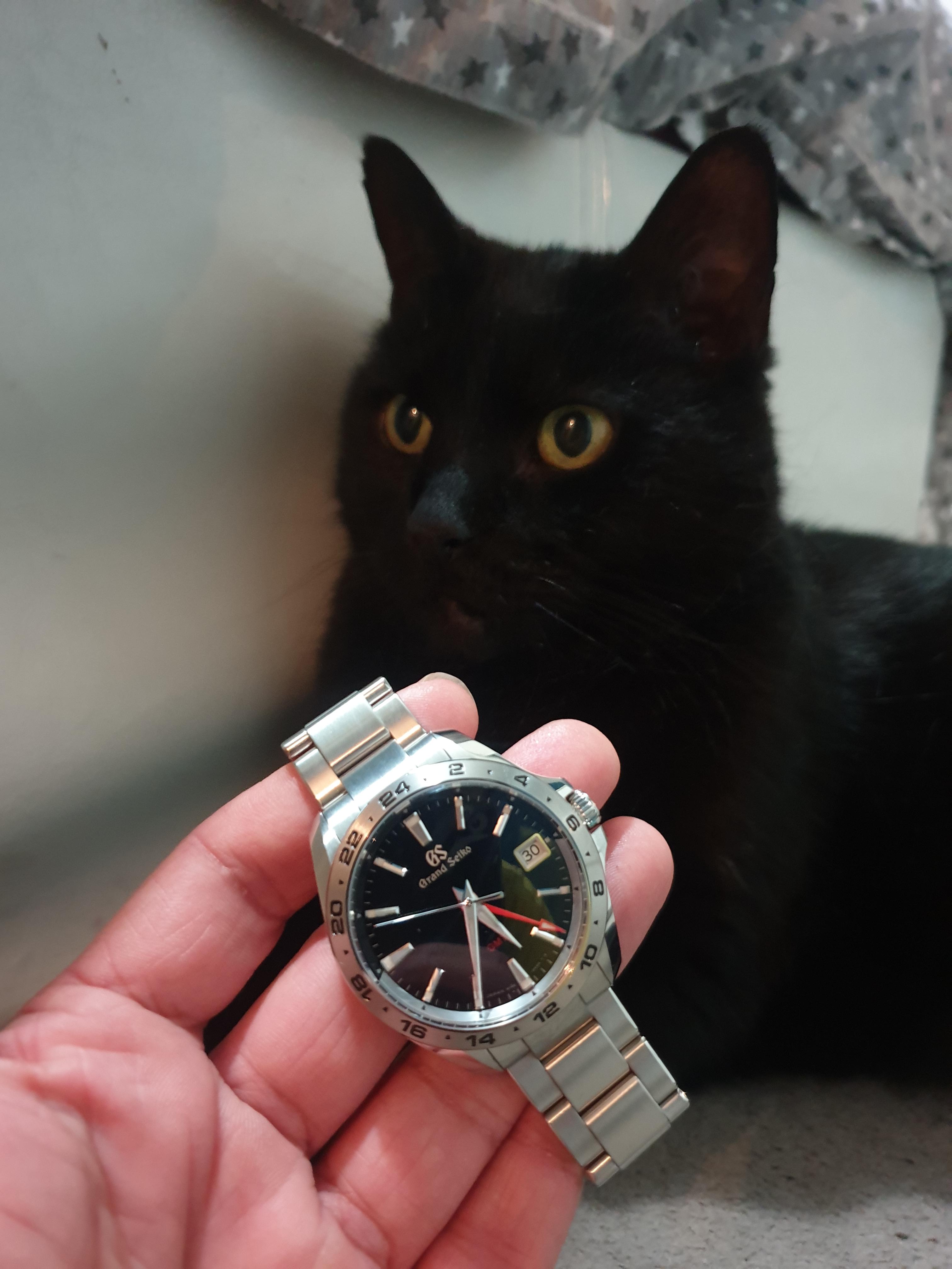 [Grand Seiko] 9F GMT SBGN005 | Scrolller