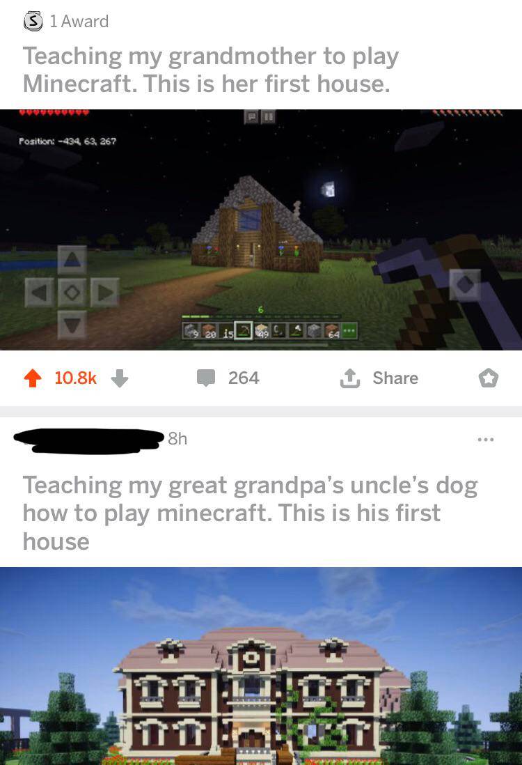 Grandma’s Minecraft House | Scrolller