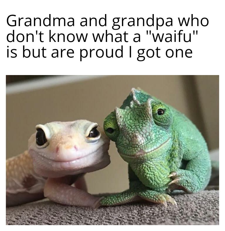 Grandparents are national treasures | Scrolller