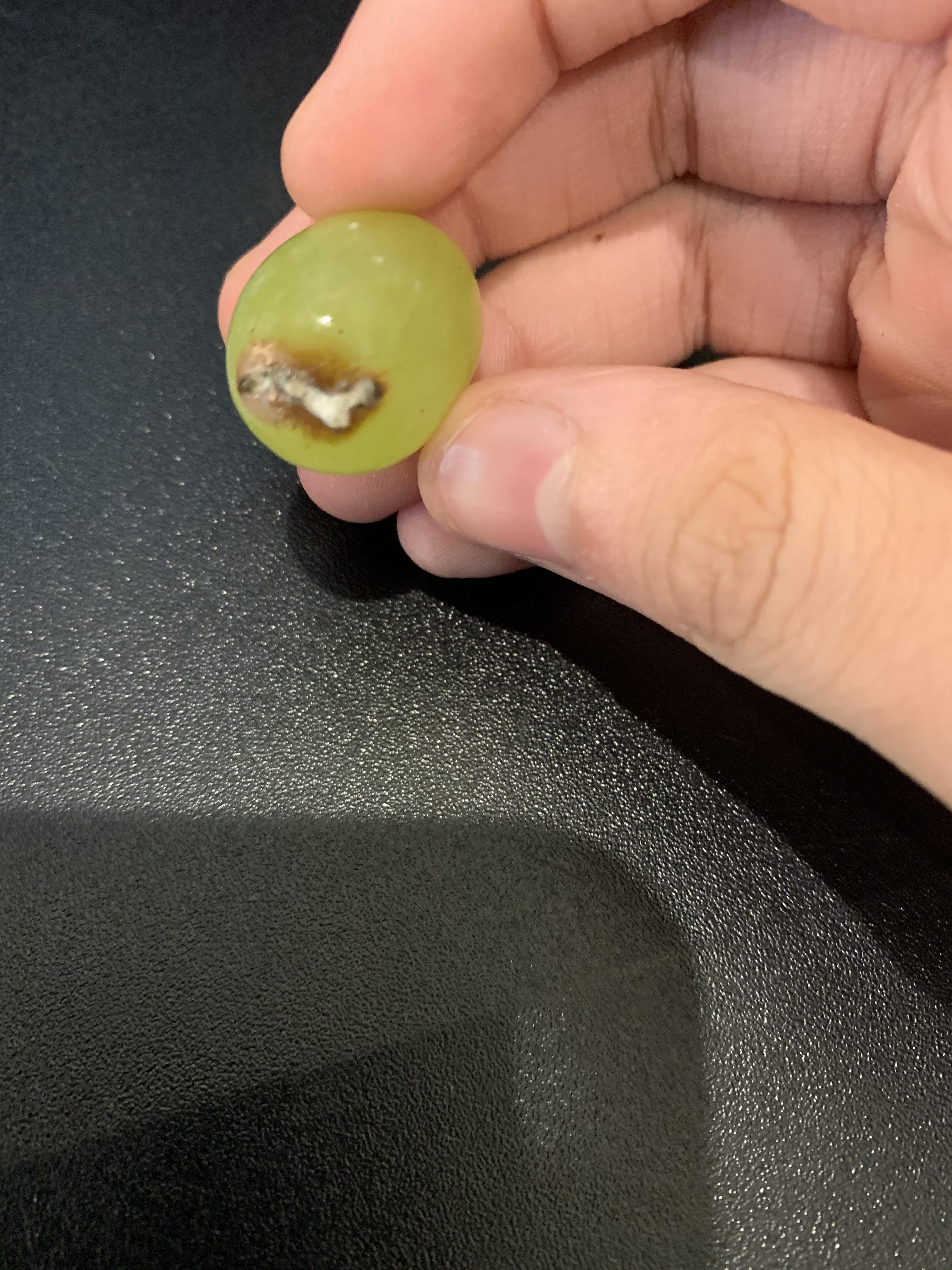 Grape i almost ate | Scrolller