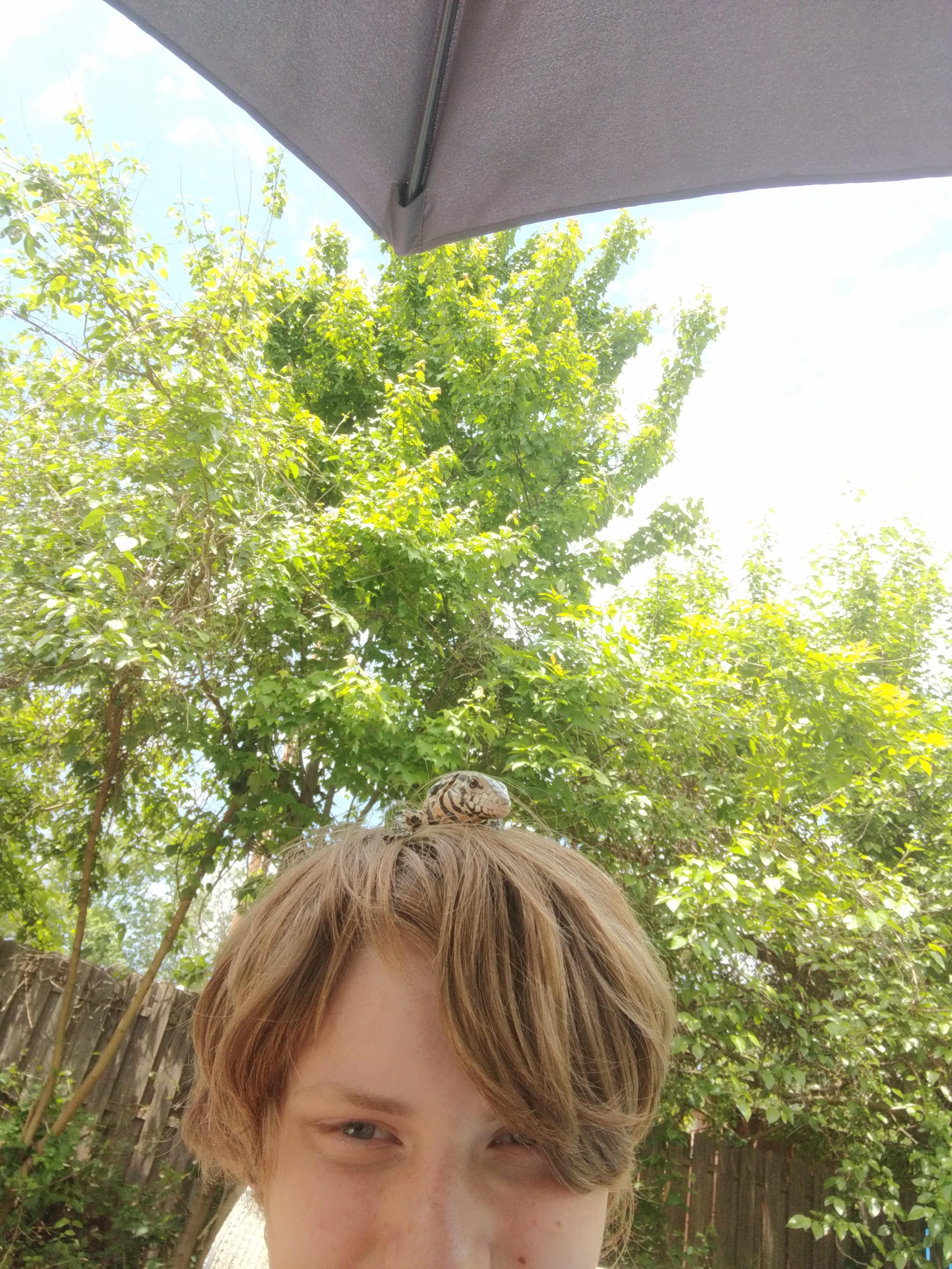 Grayson has a nice basking spot | Scrolller