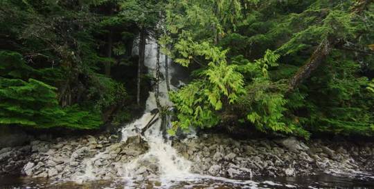 Great Bear Rainforest waterfall | Scrolller