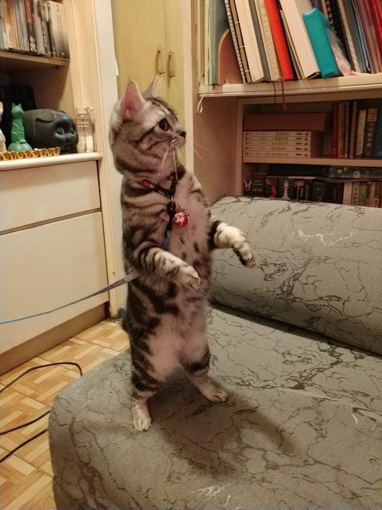 Great posture! | Scrolller