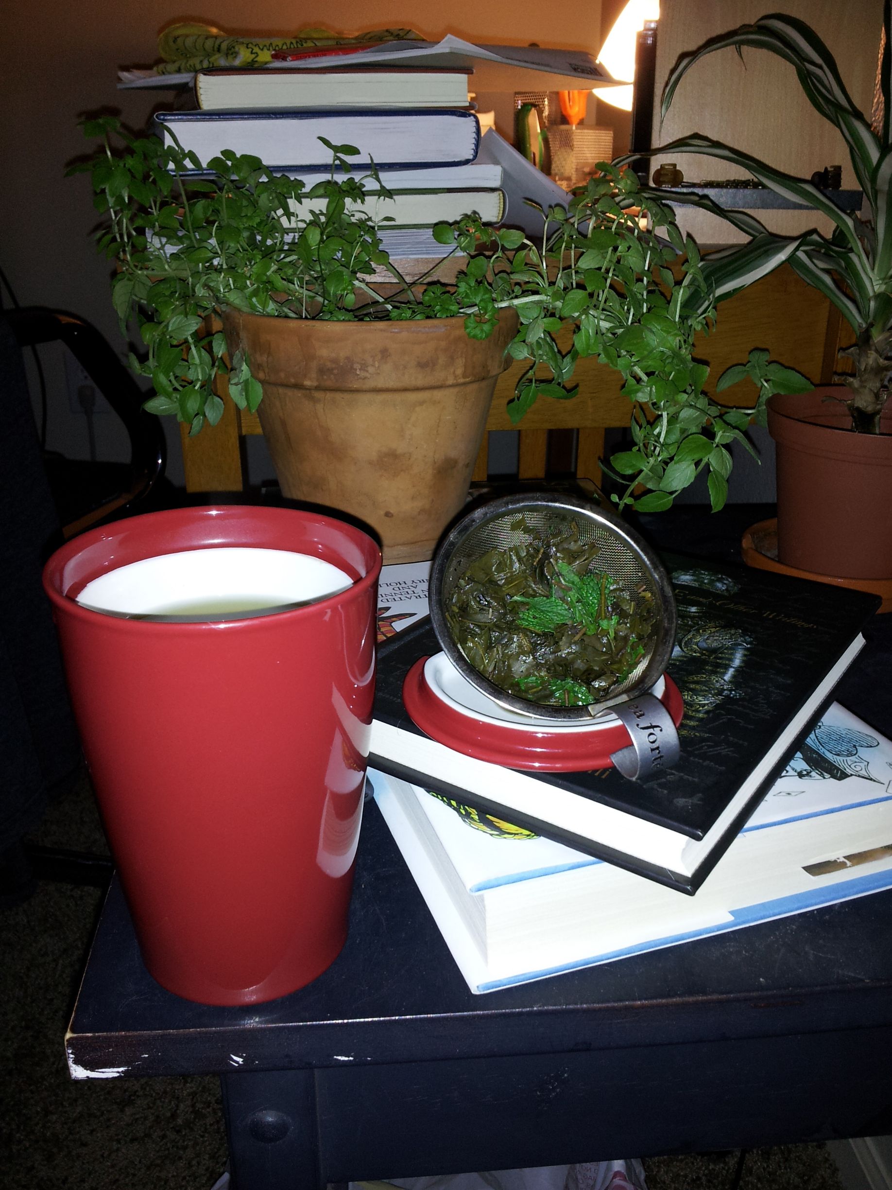 Green tea, fresh mint leaves, books [OC] [1836x2448] | Scrolller