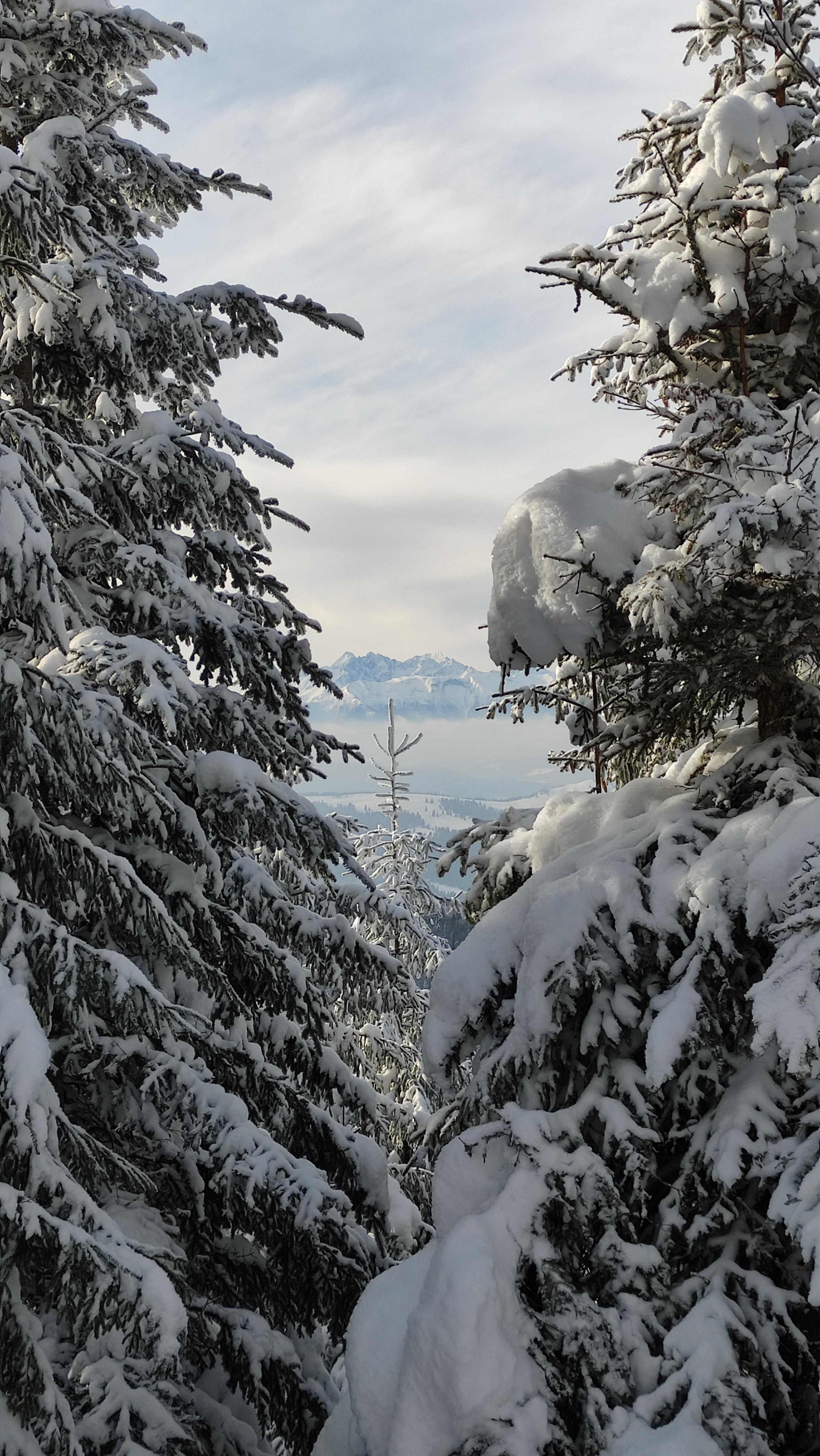 Greetings from Poland, Tatra mountains | Scrolller