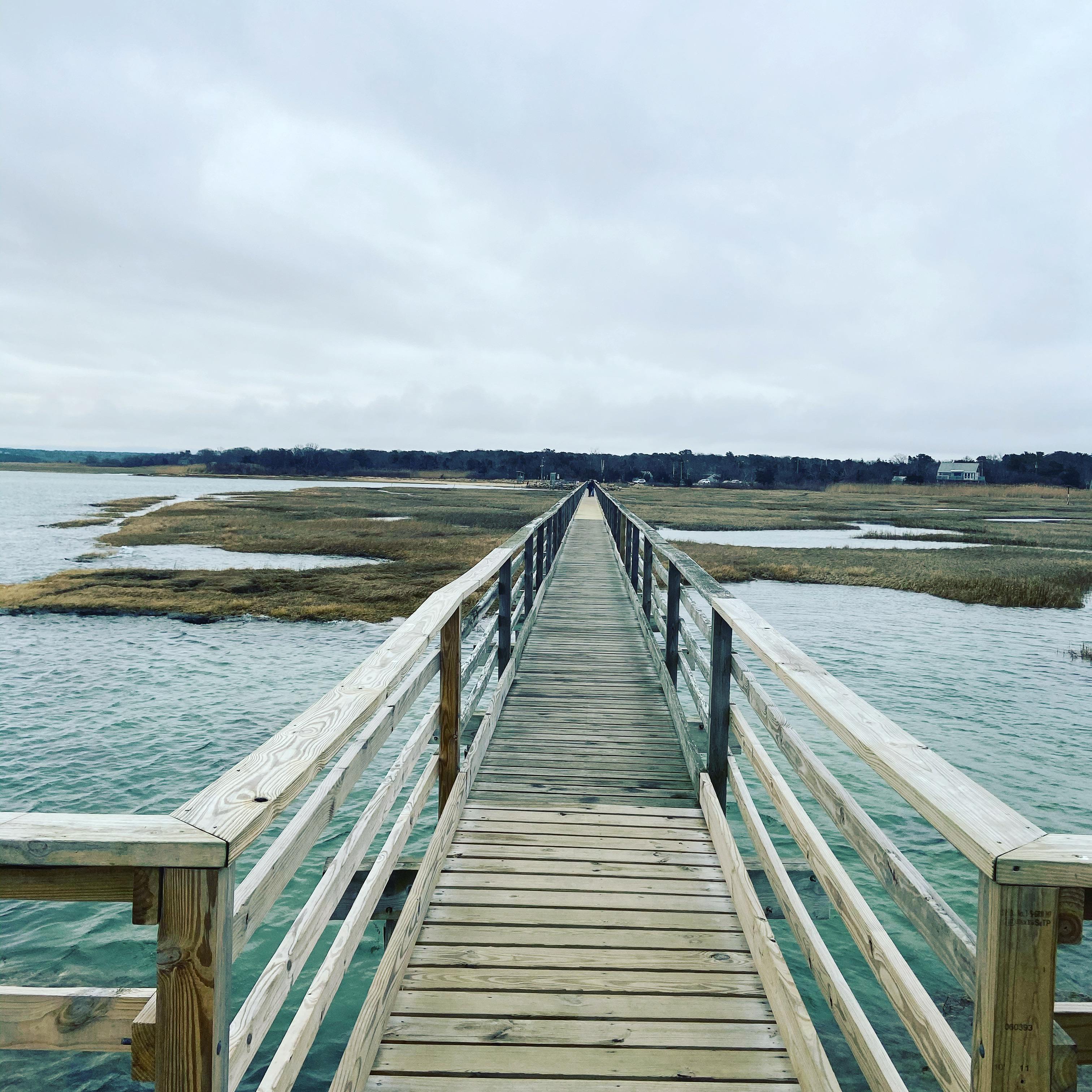 Grey Beach Cape Cod MA | Scrolller