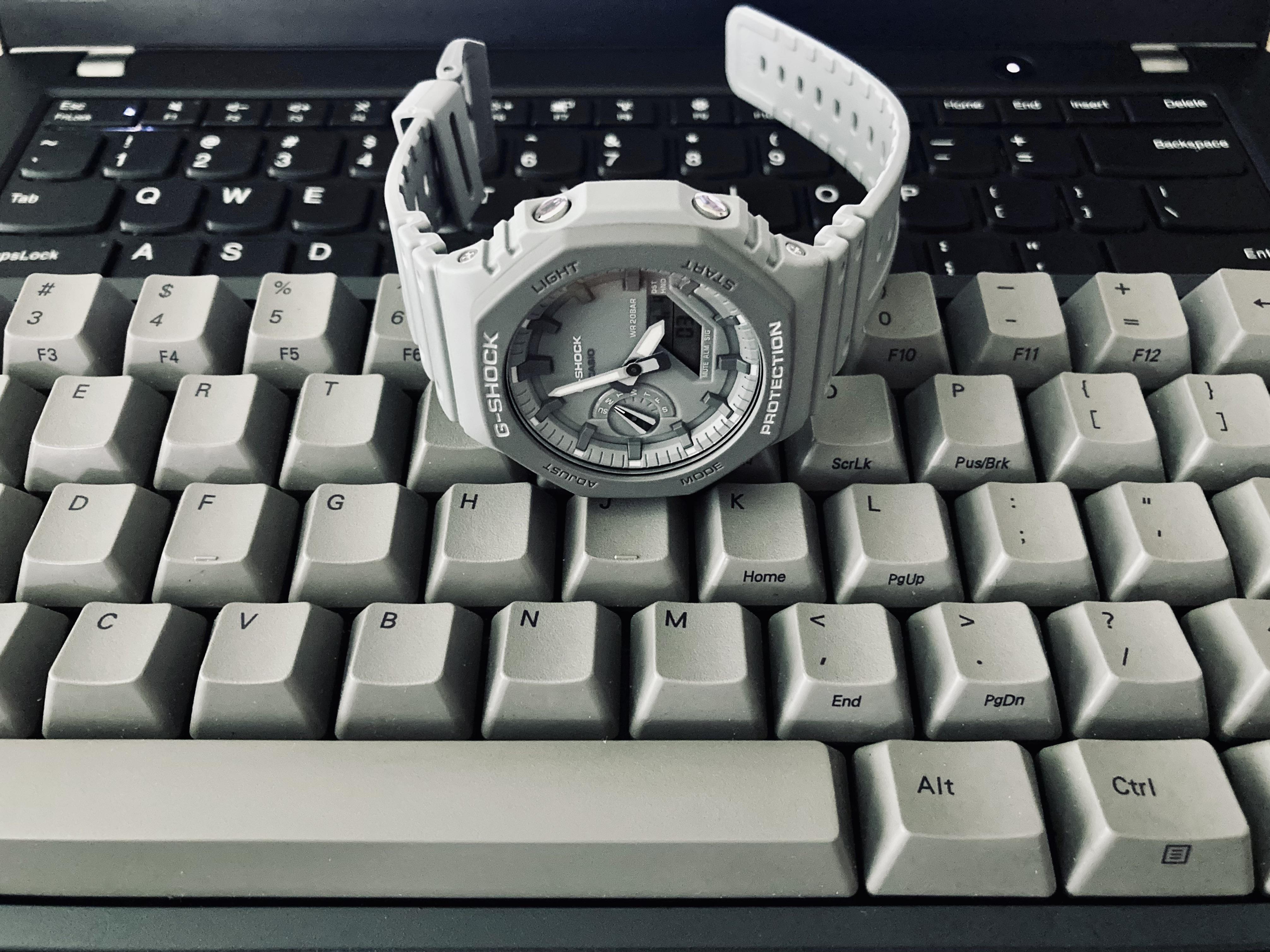 Grey Casioak | Scrolller